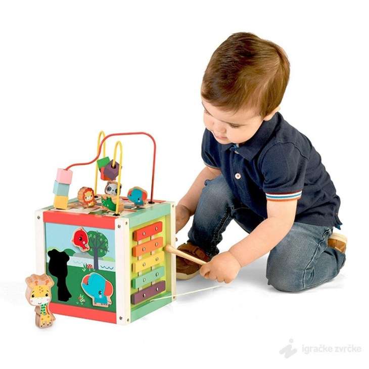 Fisher Price Edukativna drvena kocka 5u1