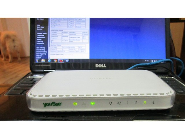 NETGEAR Wireless Cable Voice Gataway CVG824G