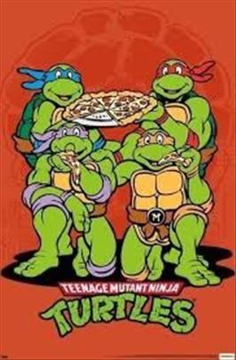 Dvd Nindža kornjače sve epiz.iz 80-ih 193 epizode