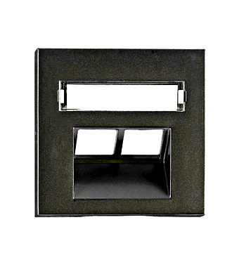 Pokrov 2xRJ45 UAE s natpisnom pločicom, crni
VISIO S 55 (55x55)
