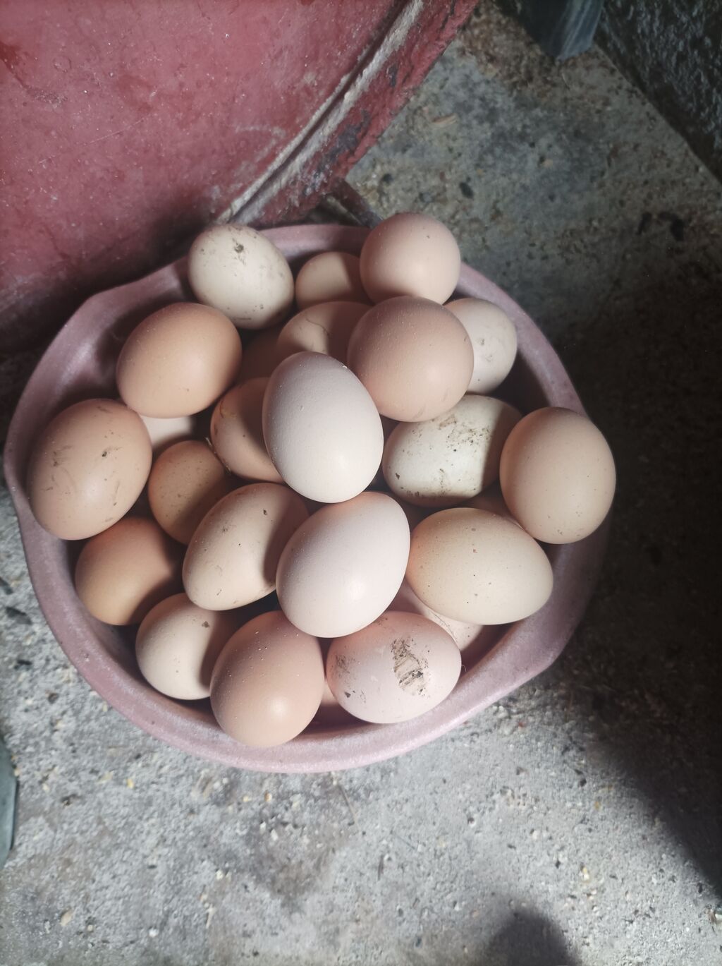 Na prodaju domaca jaja 25 dinara i dva jareta muska tu su oko 20 kg