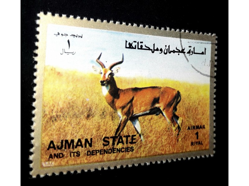 Ajman - fauna