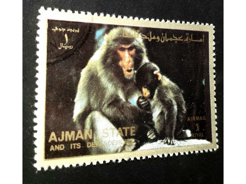 Ajman - fauna