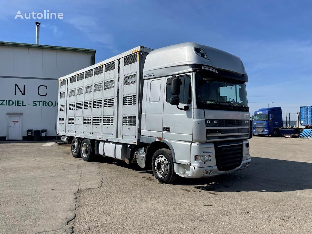 DAF FAR XF 105.510 kamion za prevoz stoke