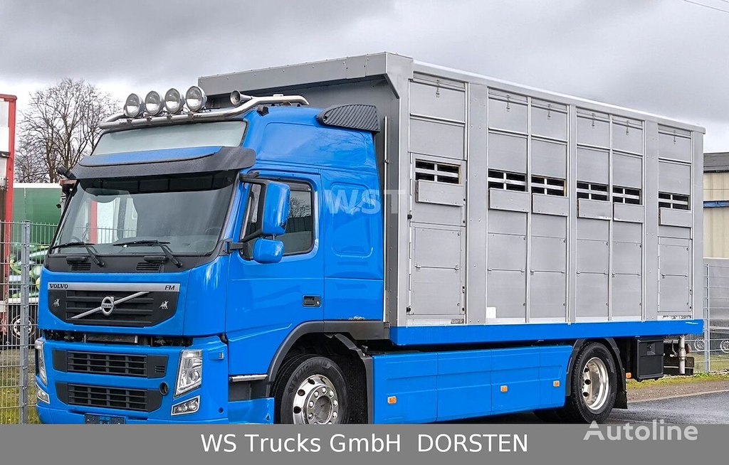 Volvo FM 360 kamion za prevoz stoke