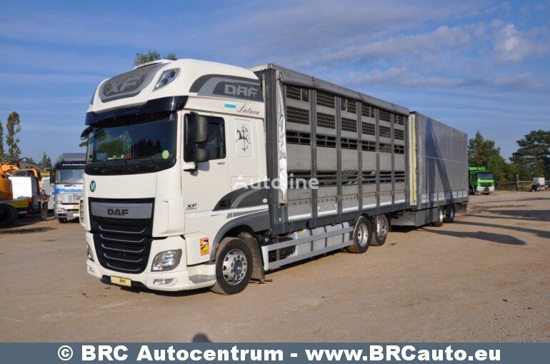 DAF XF 460 FAR kamion za prevoz konja + prikolica za prevoz konja