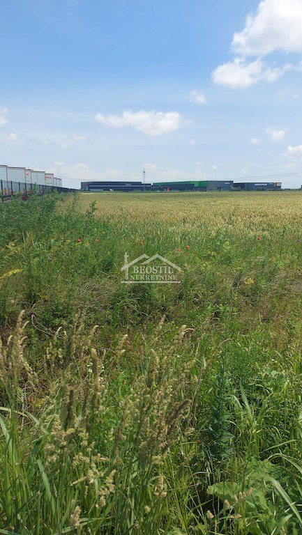 Pećinci - Industrijska zona Šimanovci, Thermo King - 120a ID#20802 360.000 €