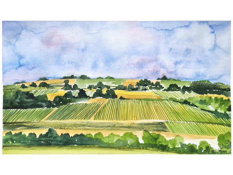 Karlovački vinogradi - akvarel