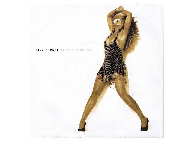 Tina Turner – Steamy Windows 7`