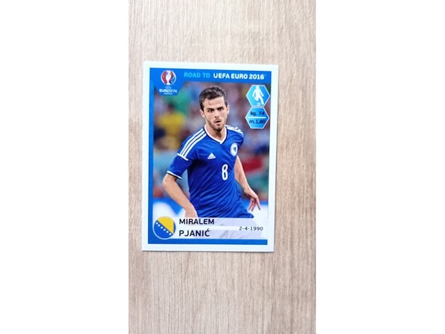 Road to Euro 2016 Panini sličica broj 028 28