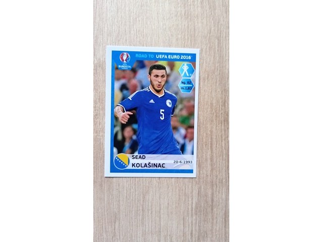 Road to Euro 2016 Panini sličica broj 021 21