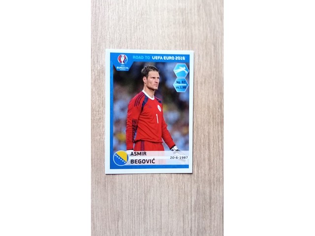 Road to Euro 2016 Panini sličica broj 017 17