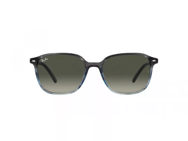 Ray-Ban Leonard Naočare za sunce RB 2193 138171