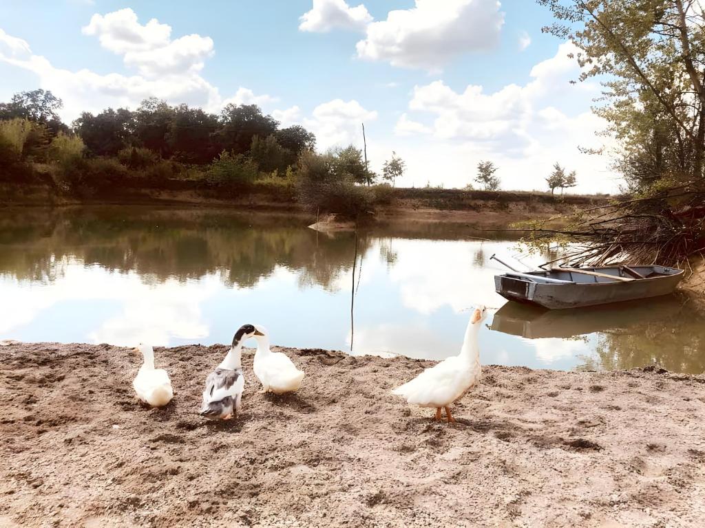 Privatna plaža
Konak Jezero - Drvene Kućice na Privatnom Jezeru