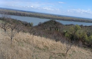 Prodajemo 36 ara, Poljoprivredno Zemljište, Ritopek, Beograd Grad