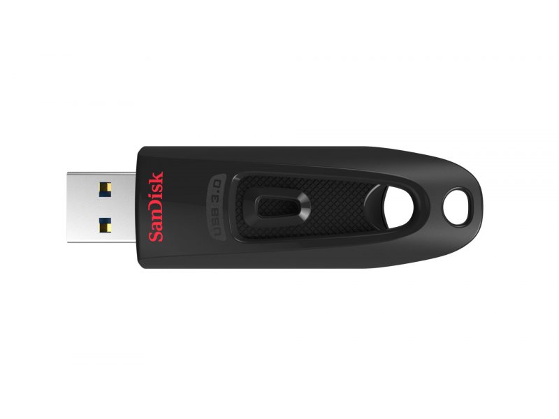 SANDISK USB Flash memorija 256GB 3.0