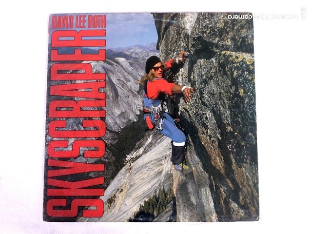 David-Lee-Roth Skyscraper mint