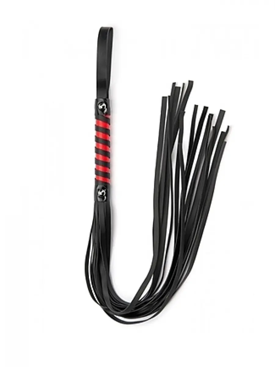 Bič Flogger