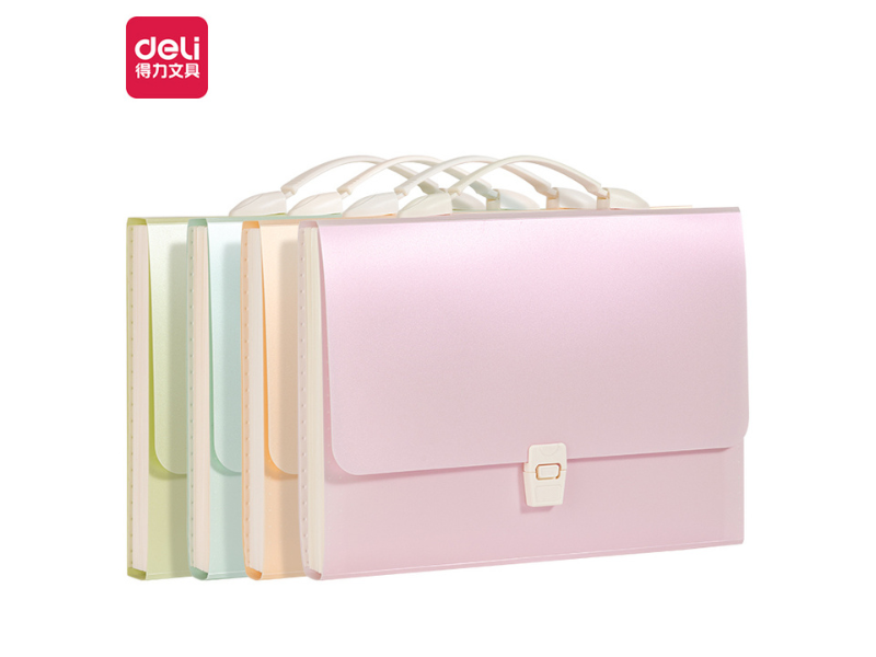TORBA ZA DOKUMENTA
DELI PASTEL A4
VELIČINE SA 13
PREGRADA PM306
