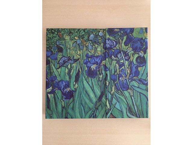 Planer Van Gogh Irisi