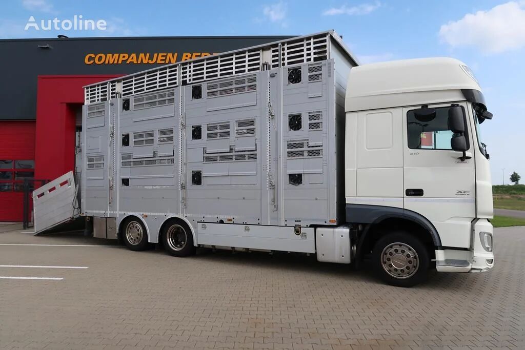 DAF XF 510 Super Space Cab kamion za prevoz stoke