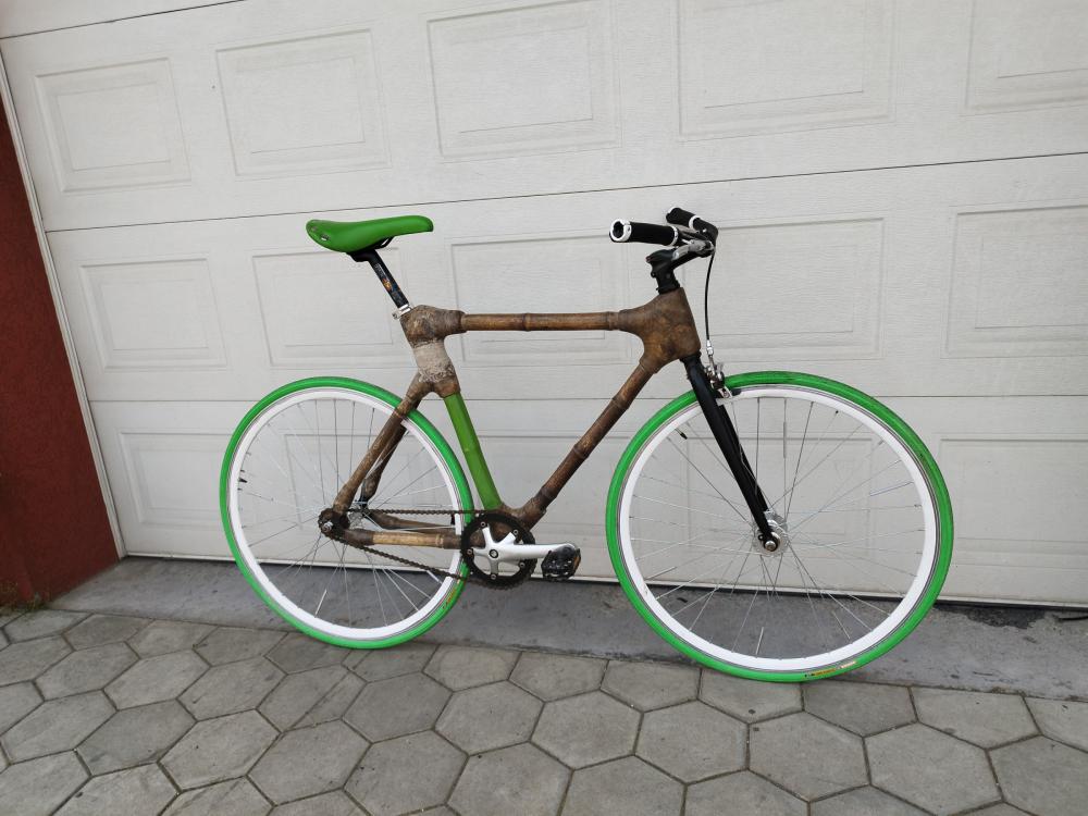Bambus bike