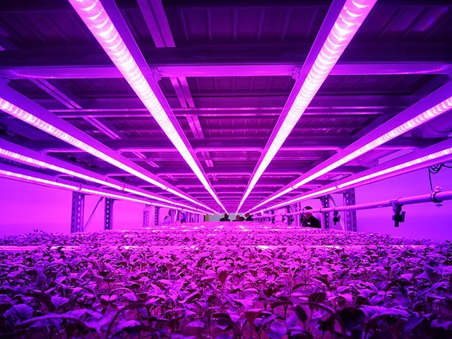 Grow led alu bar, 144Led`s 5730 - 1 Metar duzine - 24W