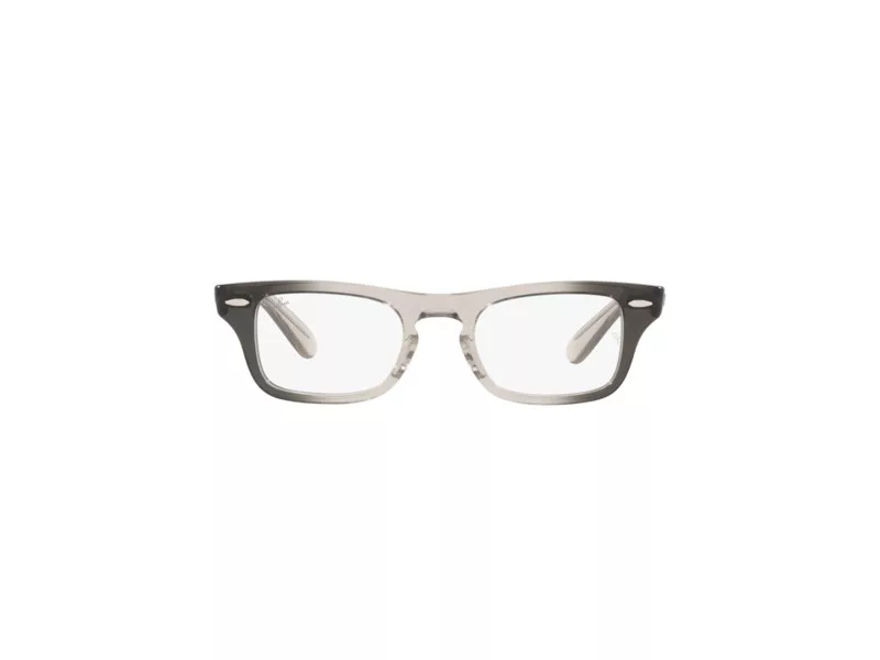 Ray-Ban Burbank Jr Naočare RY 9083V 3889