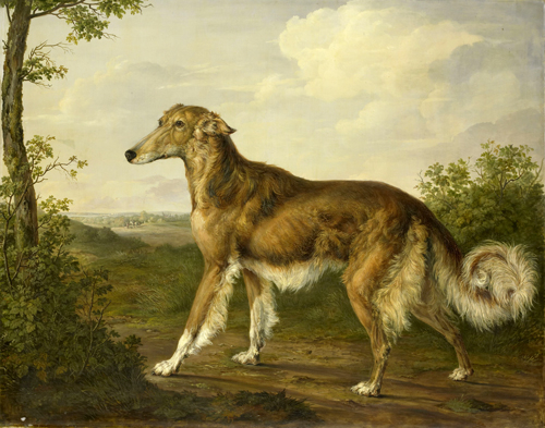 Sibirski hrt (1825)