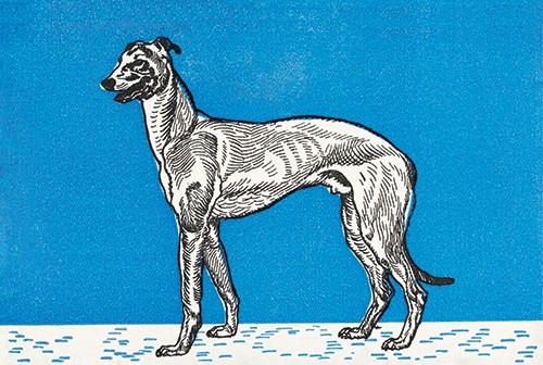 Greyhound (1912) - Blue