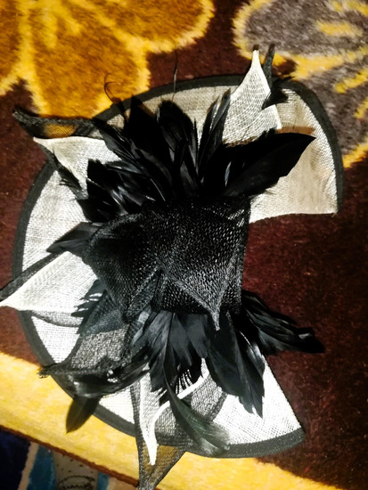 Fascinator šnala