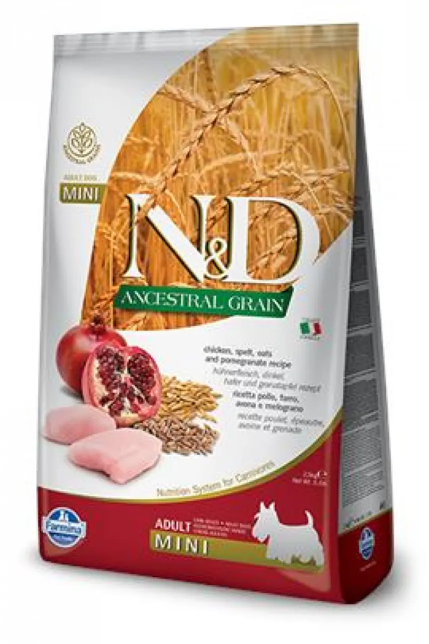 N&D AG Chicken&Pom. Mini 800g