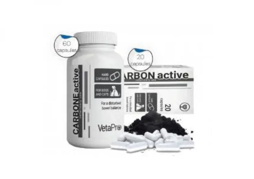 CARBON ACTIVE 20 capsules