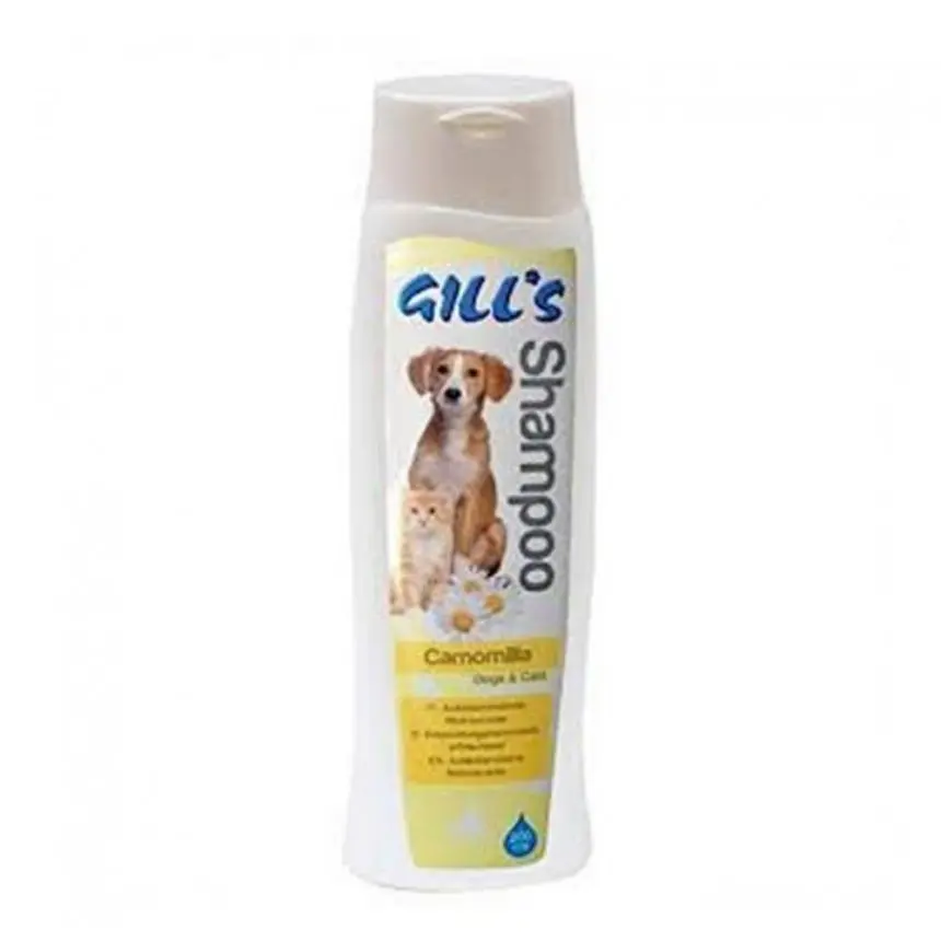 GILLS sampon kamilica 200ml