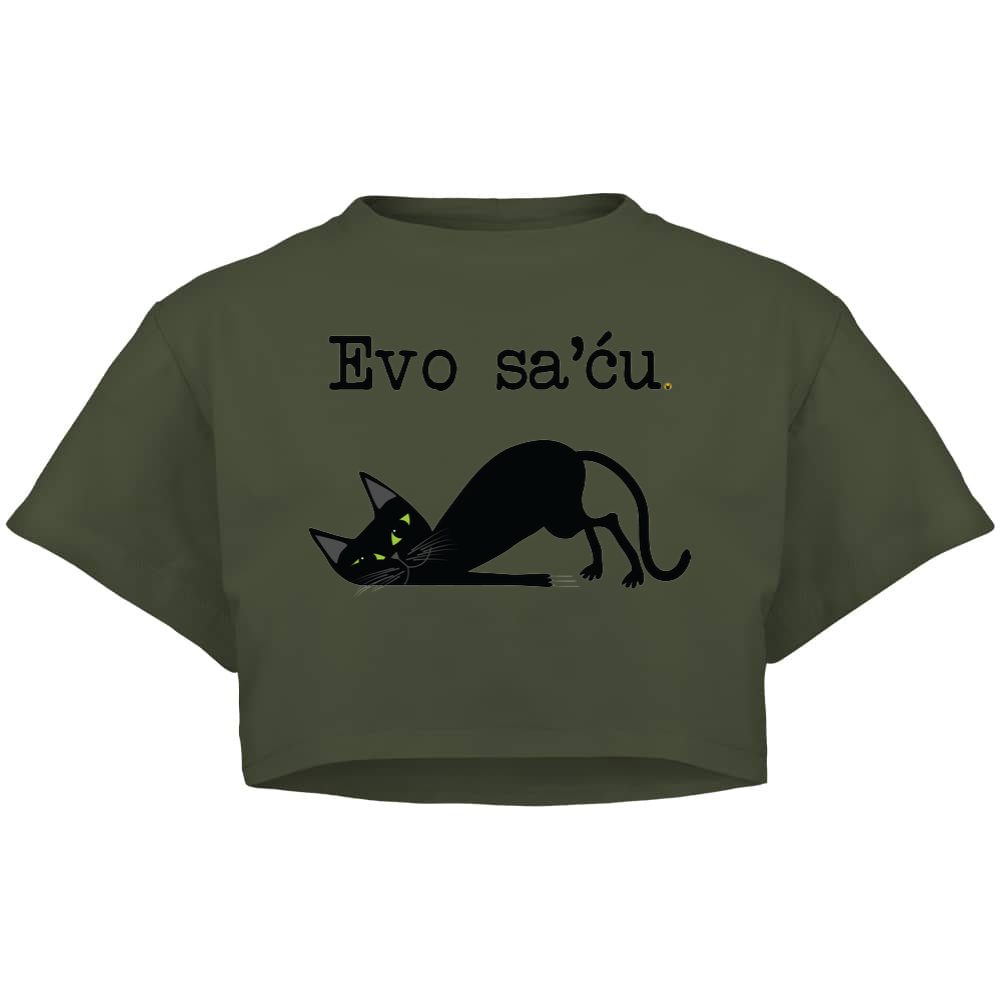 Evo sa'ću