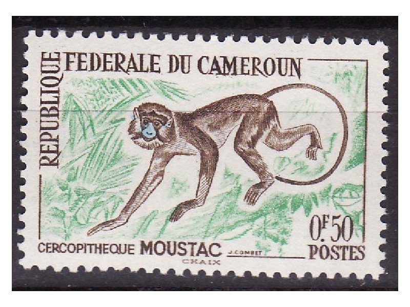 Kamerun - majmun