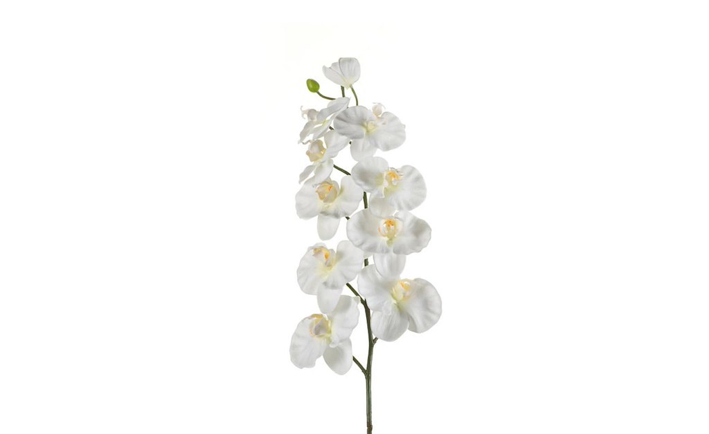 Veštački cvet Phalaenopsis 100cm bijeli