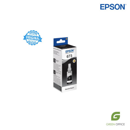 Epson T6731 black