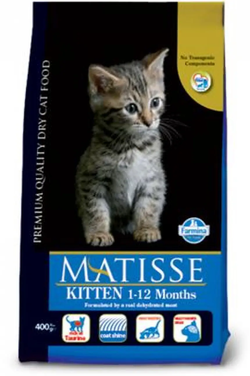 Matisse kitten 10kg