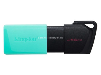KINGSTON 256GB DataTraveler Exodia M USB 3.2 Gen1 DTXM/256GB