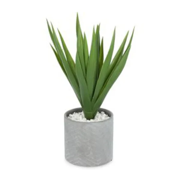 Aloe vera u saksiji 44x47cm pe/dolomite/kamen siva (145025C)