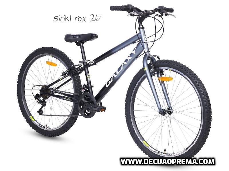 Bicikl Galaxy Fox 6.0 26″/18 Sivi