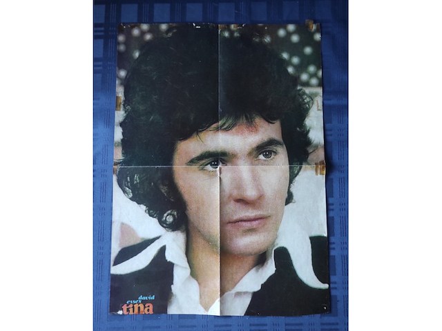 Tina Poster: David Essex