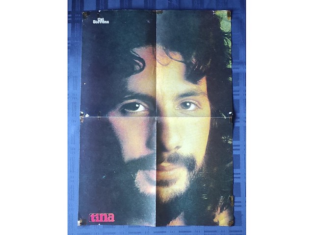 Tina Poster: Cat Stevens