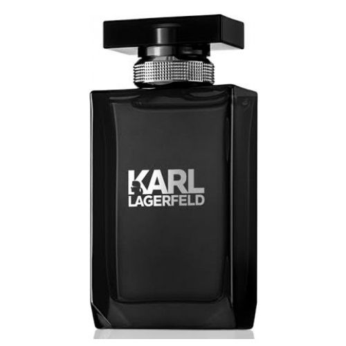 Karl Lagerfeld Muški EDT 100ML