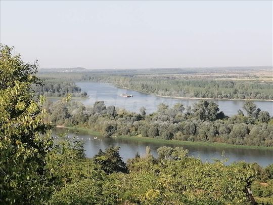 Njiva sa pogledom na ušće Tise u Dunav