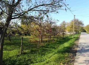 Prodaja Kuća - Srbobran