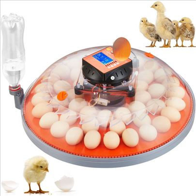 Inkubator za jaja 48 kom