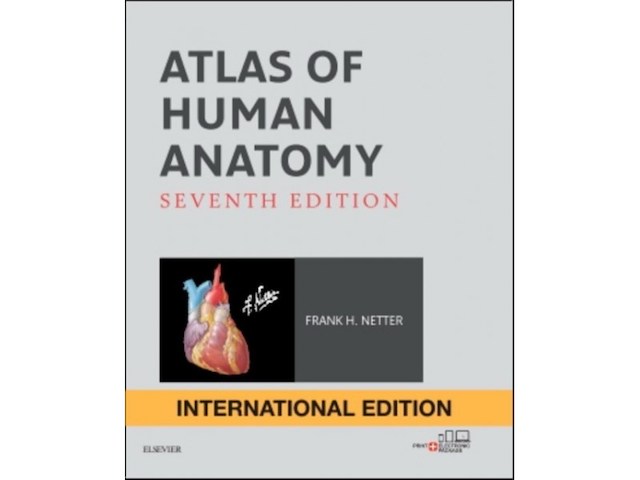 Atlas of Human Anatomy by Frank Netter 7th Internationa