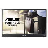 Asus MB16AWP